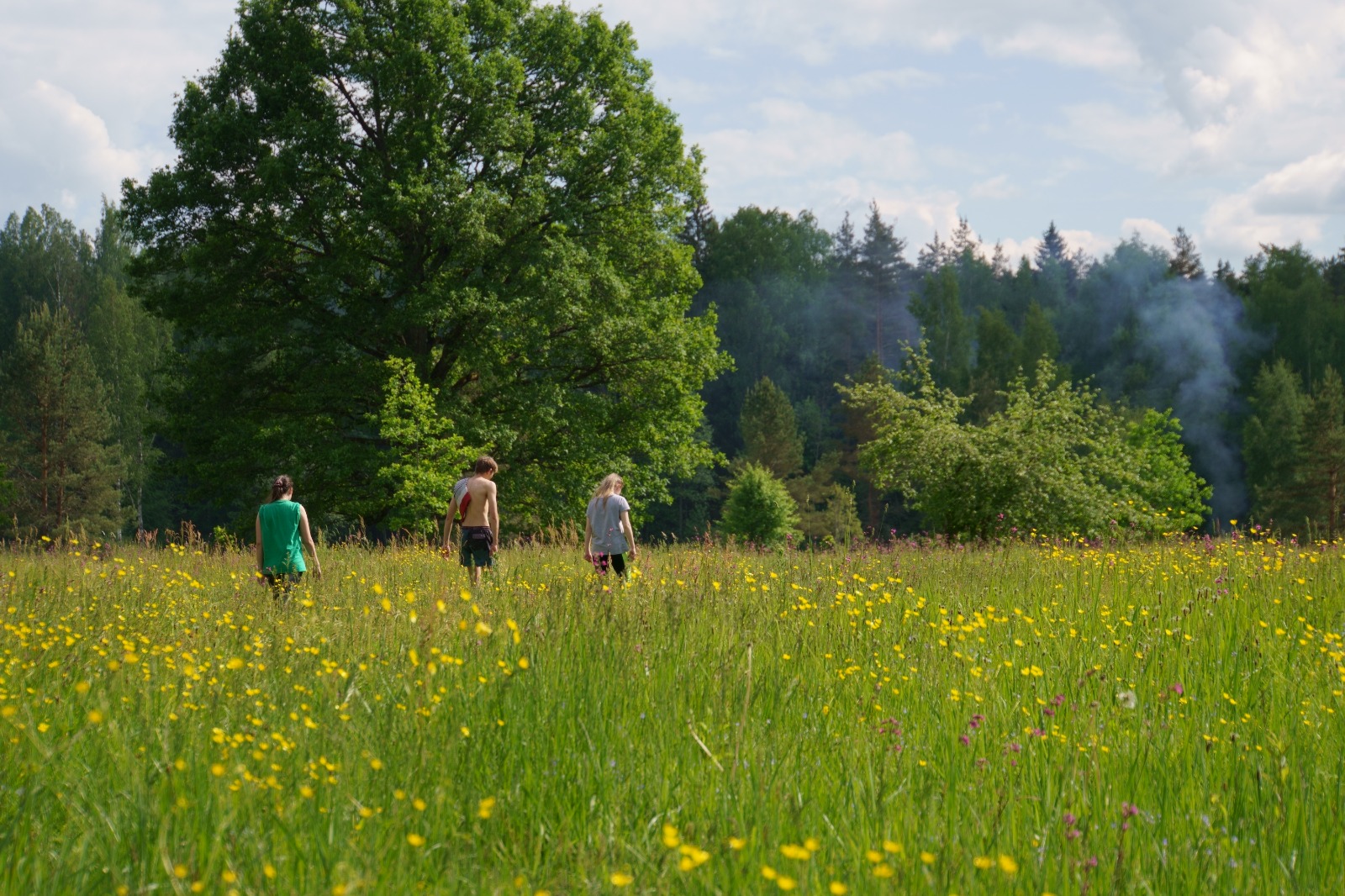 WoodMeadowLIFE - Latvijas Dabas fonds